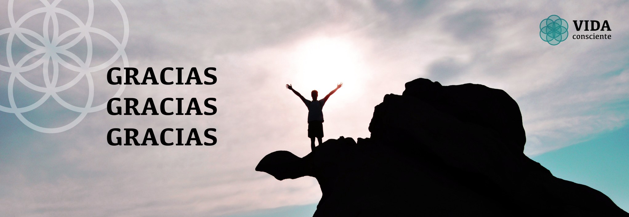 Yin Yang significado del símbolo – Vida consciente