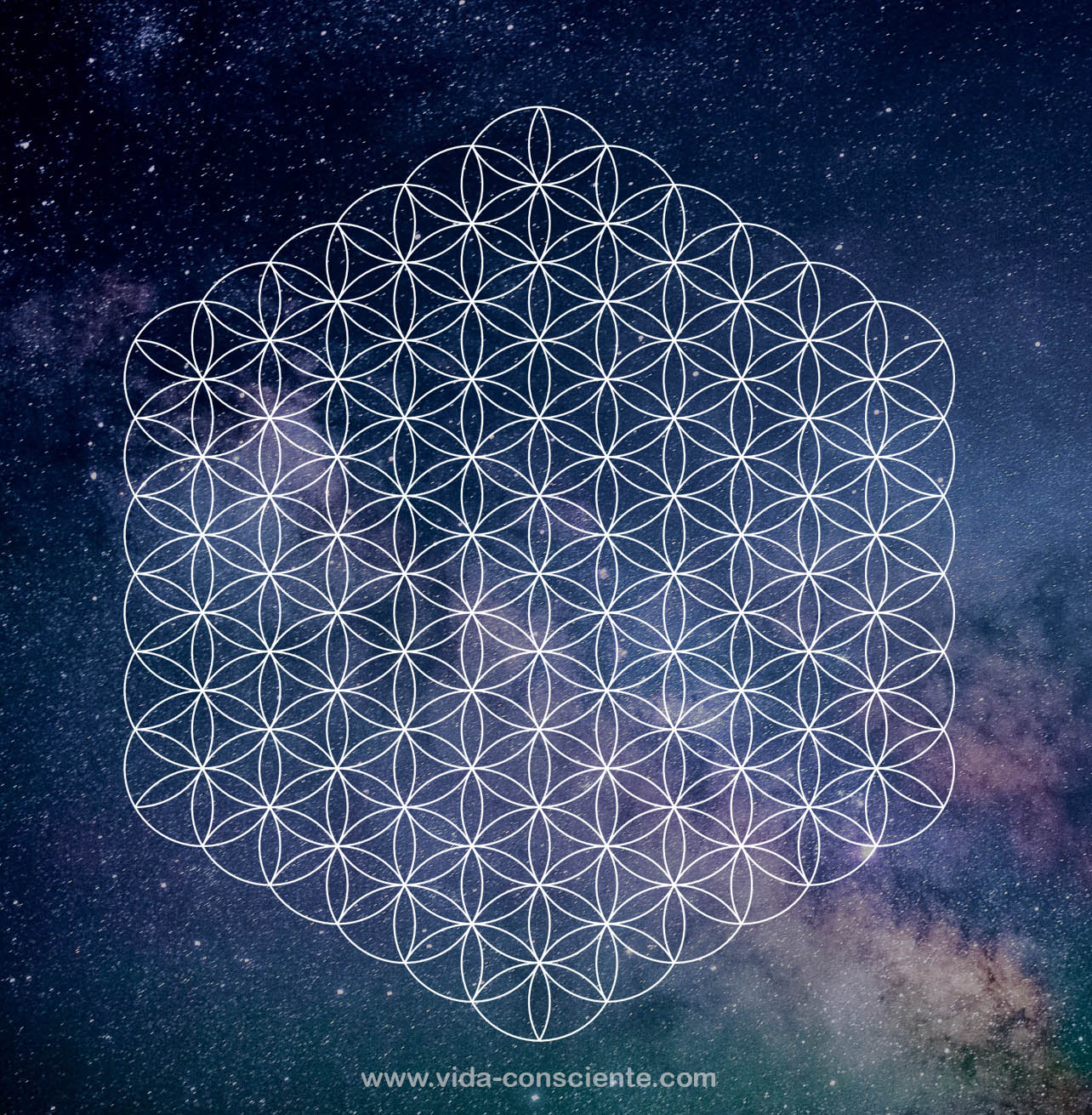 La Flor de la Vida – Vida consciente