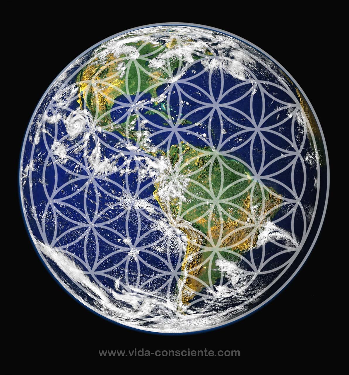 La Flor de la Vida – Vida consciente